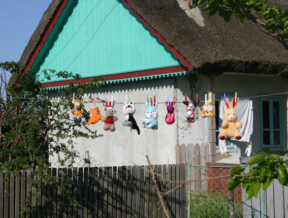 literally all sorts of animals to be found