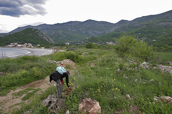 Anniek searching at Buljarica (right) near the sea (left)