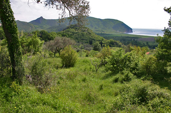 view from the hills with Buljarica at the right